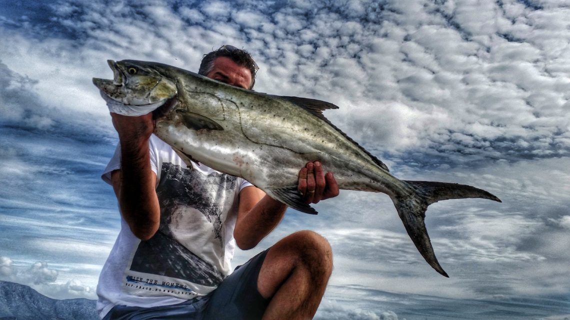 Topwater lures, sea basses, bluefishes and leerfishes. Miro Jovica ...