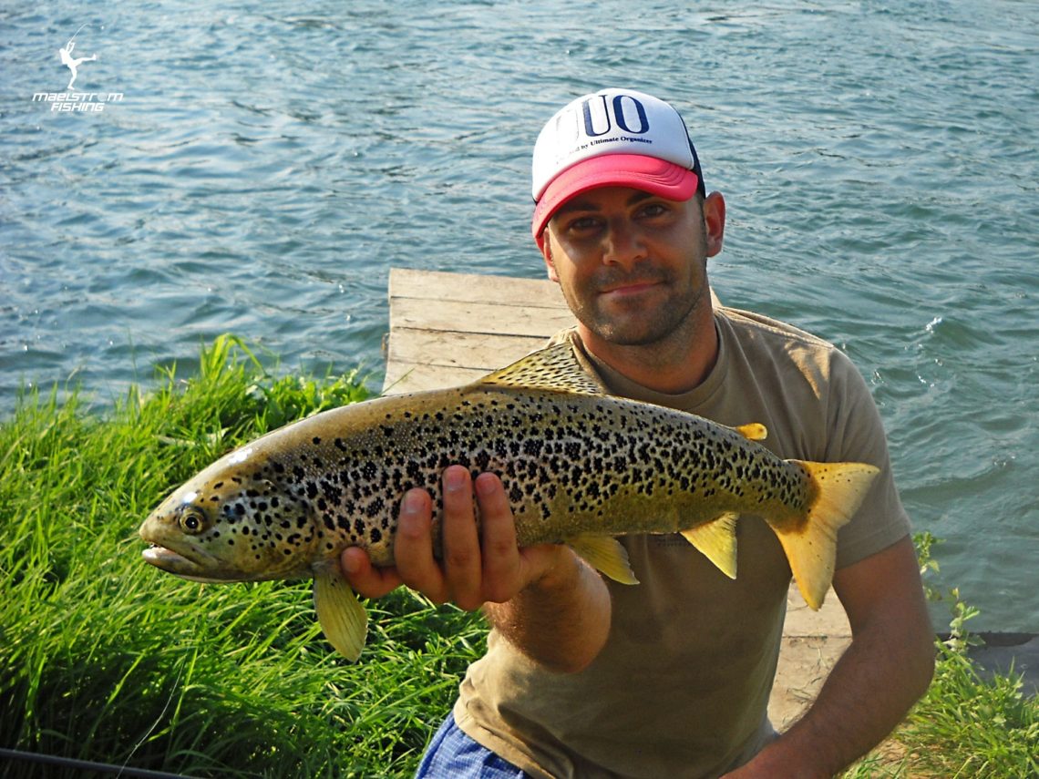 Going to Serbia with a spinning rod. Darko Pešić. - adriaticnature