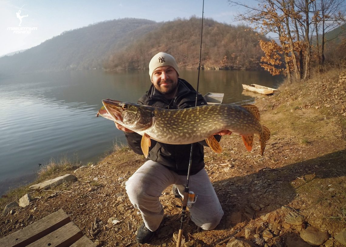 Going to Serbia with a spinning rod. Darko Pešić. - adriaticnature