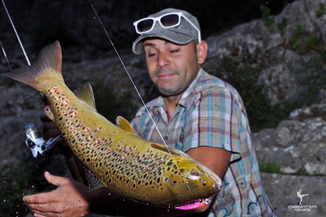 Going to Serbia with a spinning rod. Darko Pešić. - adriaticnature
