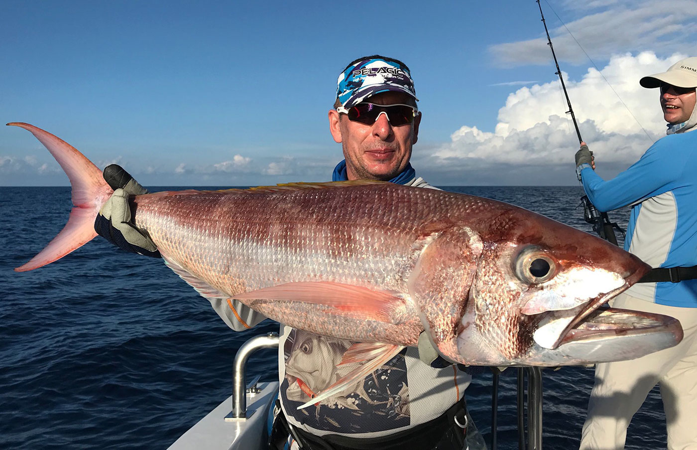 Marine extreme spinning with Aleksandr Stafievskii. | adriaticnature